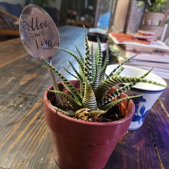 Other | Aloe You Vera Much Handmade Upcycled Spoon Plant Markers | Poshmark